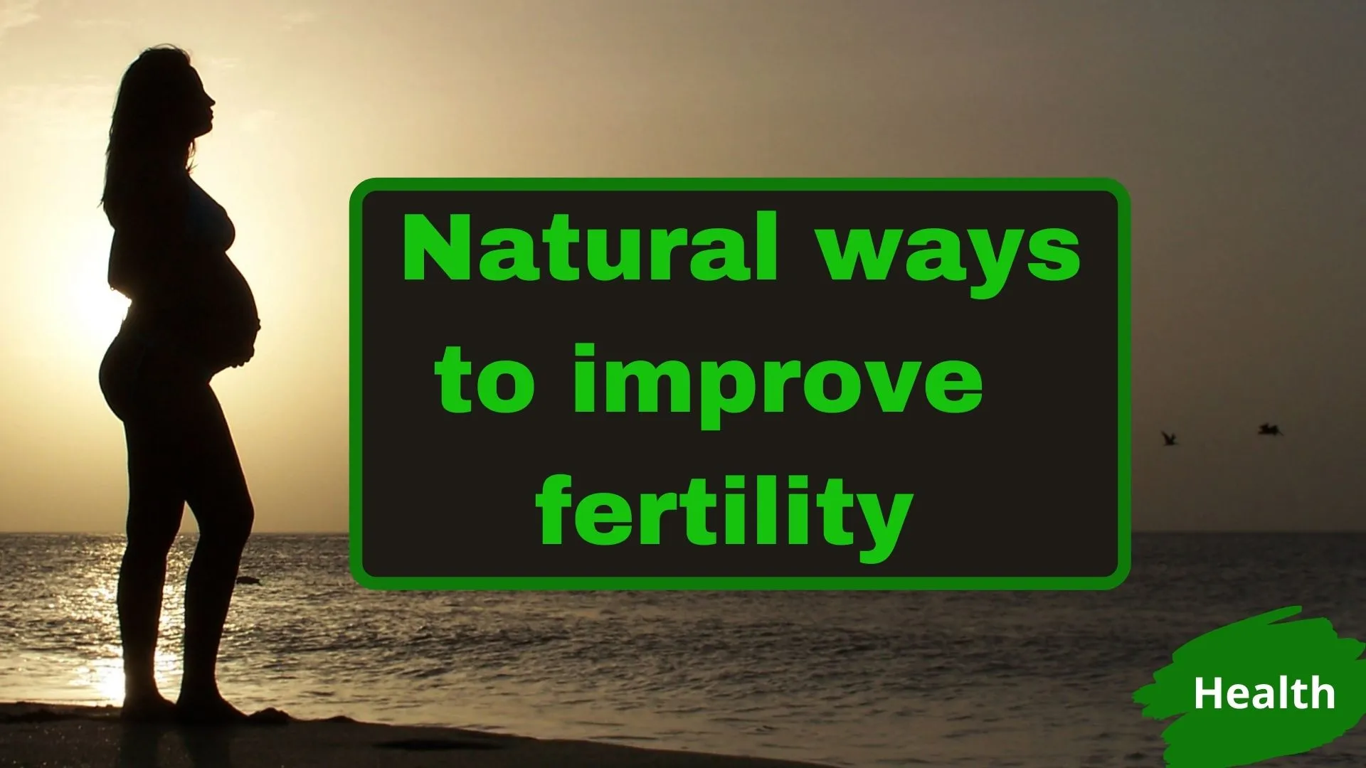 The Health Connect: Natural Ways to Improve Fertility | Role of ...