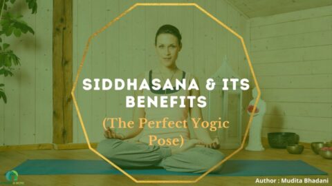 Siddhasana: The Perfect Yogic Pose | Benefits You Can Have With ...